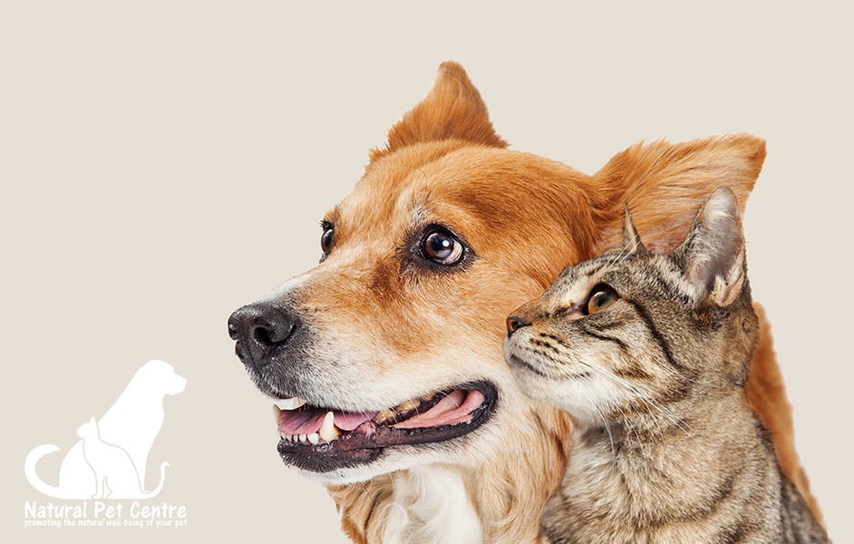 The Benefits of Collagen — Natural Pet Centre