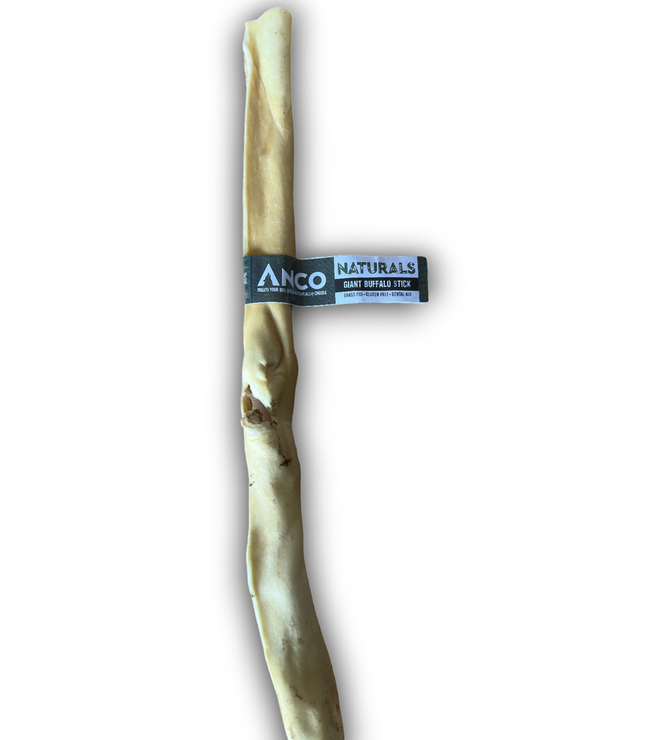Natural Giant Buffalo Stick — Natural Pet Centre