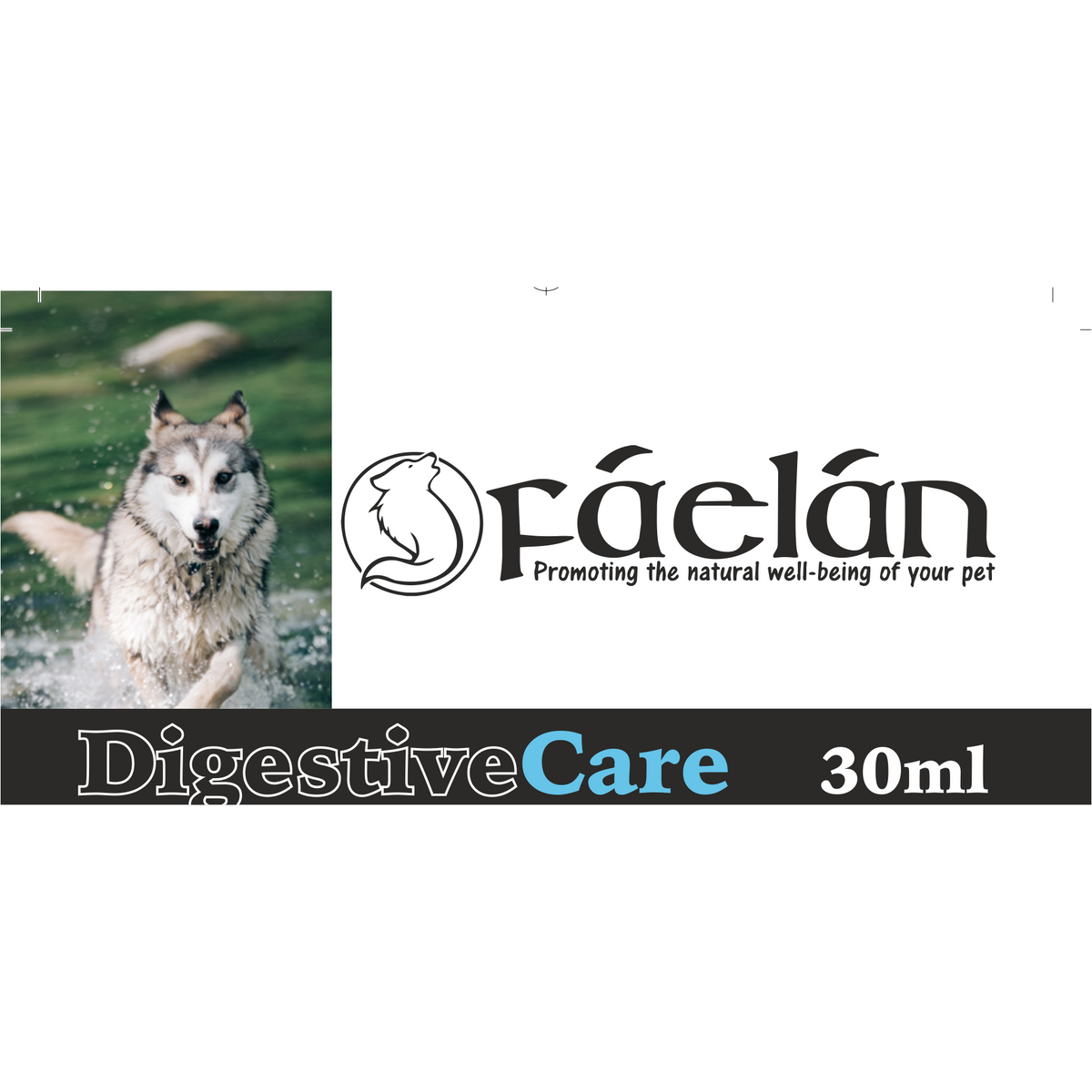 Faelan DigestiveCare — Natural Pet Centre